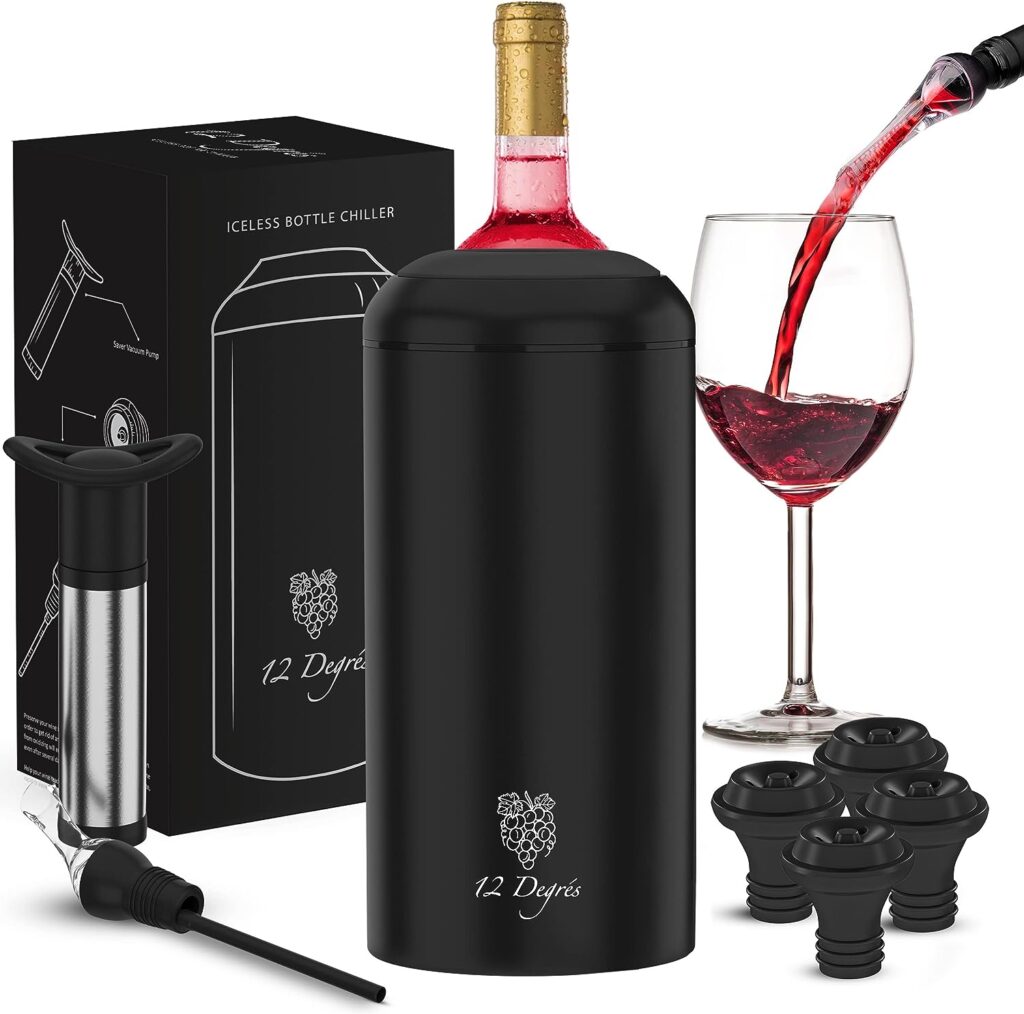 12 Degrés Iceless Wine Chiller Set Review